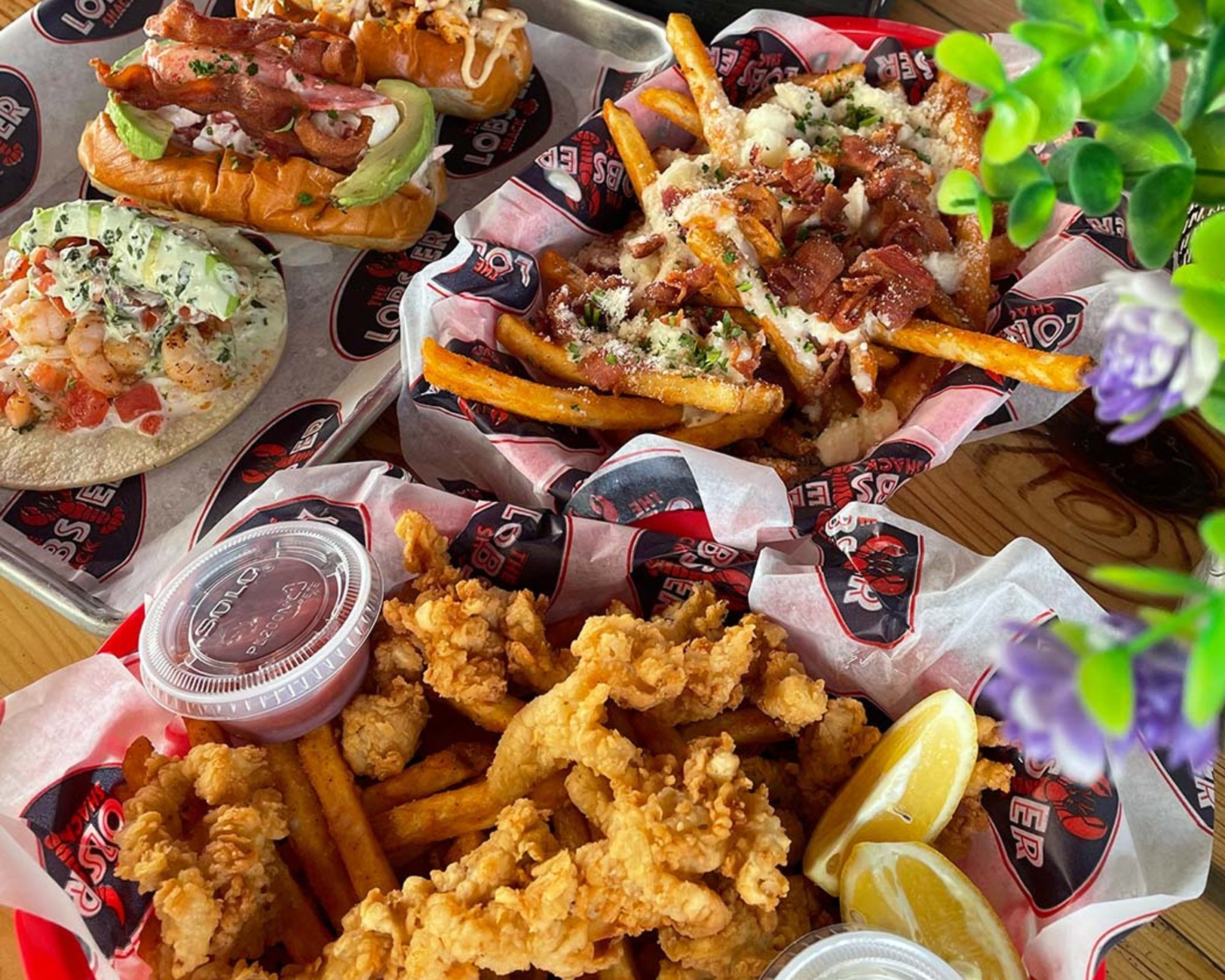 A Guide to Quick Lunches in Miami | Dish Miami