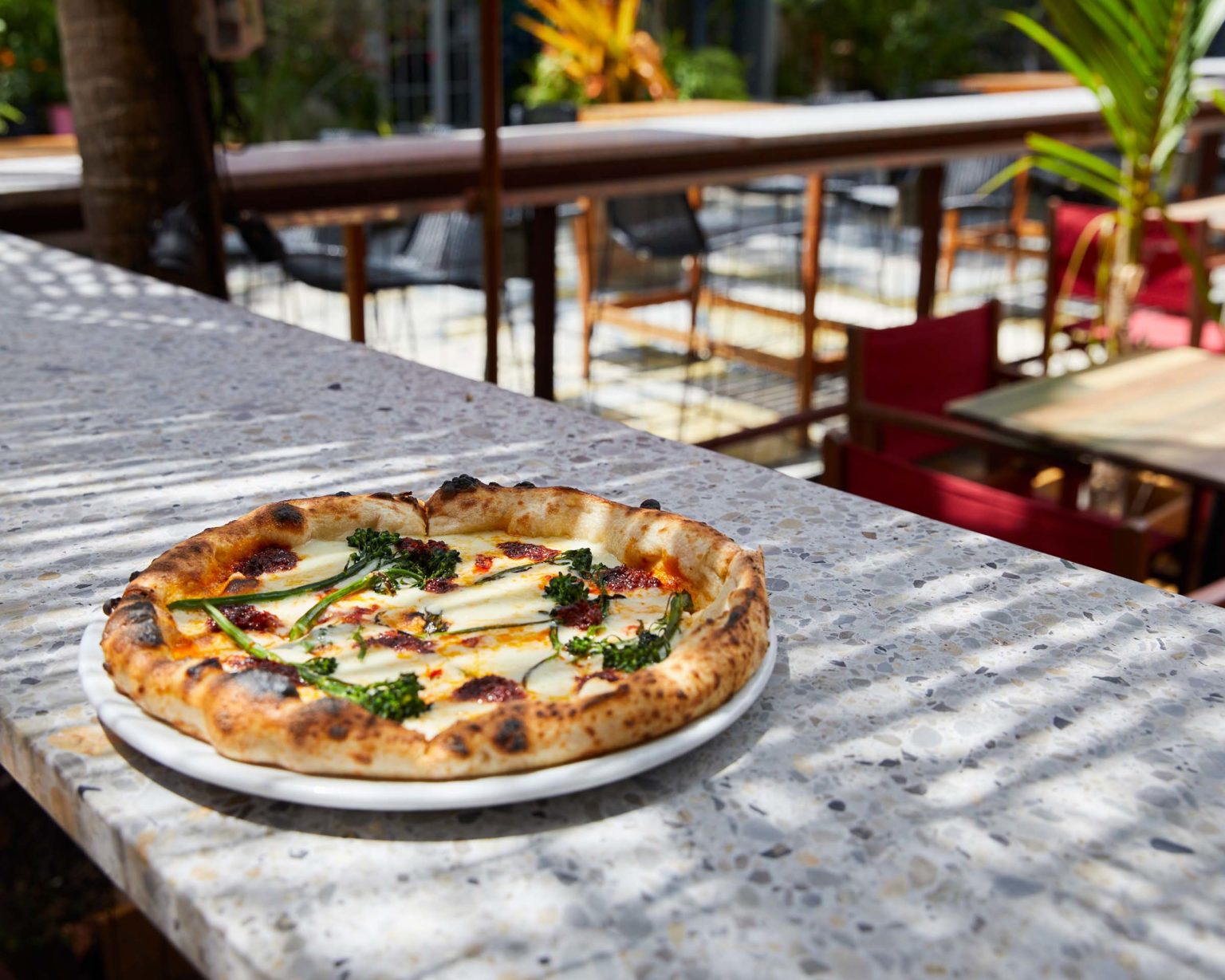 El Turco | Dish Miami