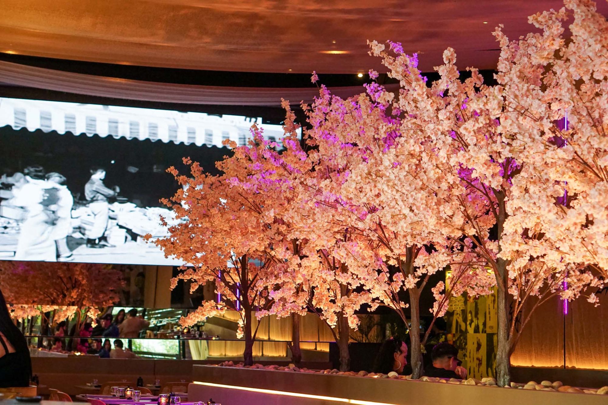 PaperFish Sushi | Dish Miami