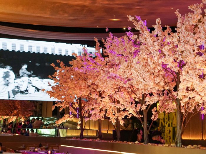 PaperFish Sushi | Dish Miami