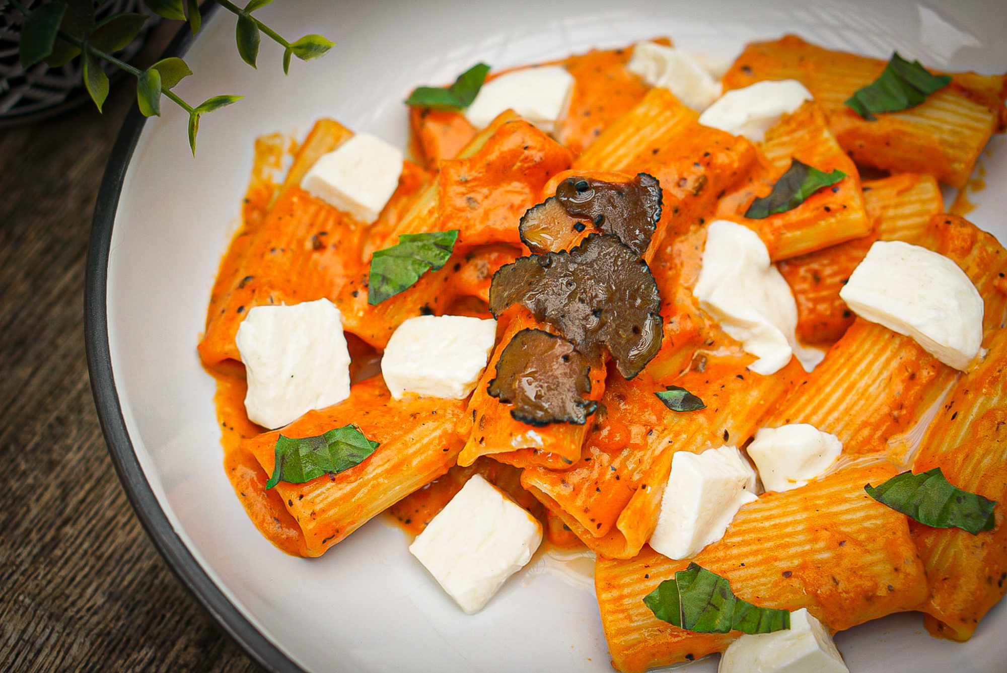 Barsecco | Dish Miami